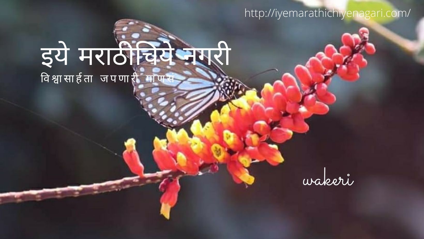 Navratri Theme : जैवविविधतेची लाल छटा... - इये मराठीचिये नगरी