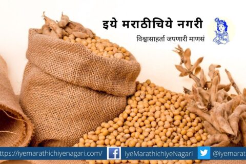 वडाचीच पूजा व्हावी ! · इये मराठीचिये नगरी