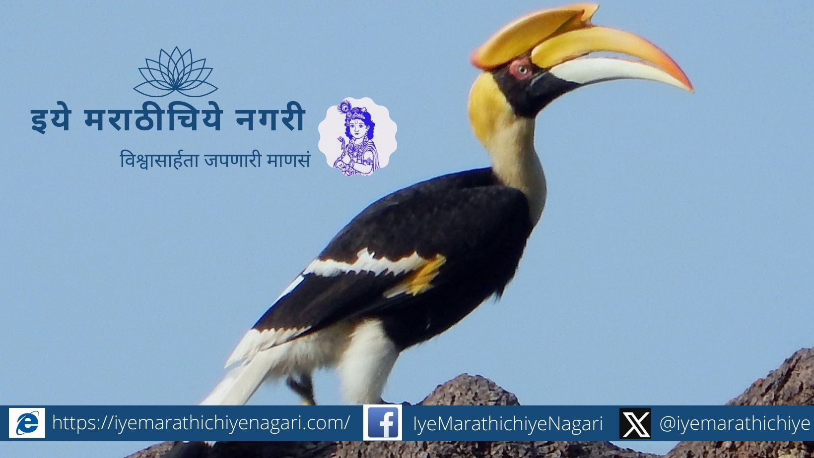 धनेश पक्ष्याचे वैशिष्ट्यपूर्ण आवाज... · इये मराठीचिये नगरी